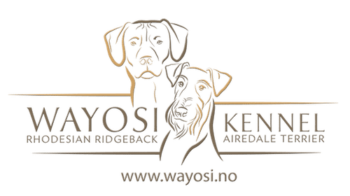 The Rhodesian Ridgeback History - Kennel Wayosi